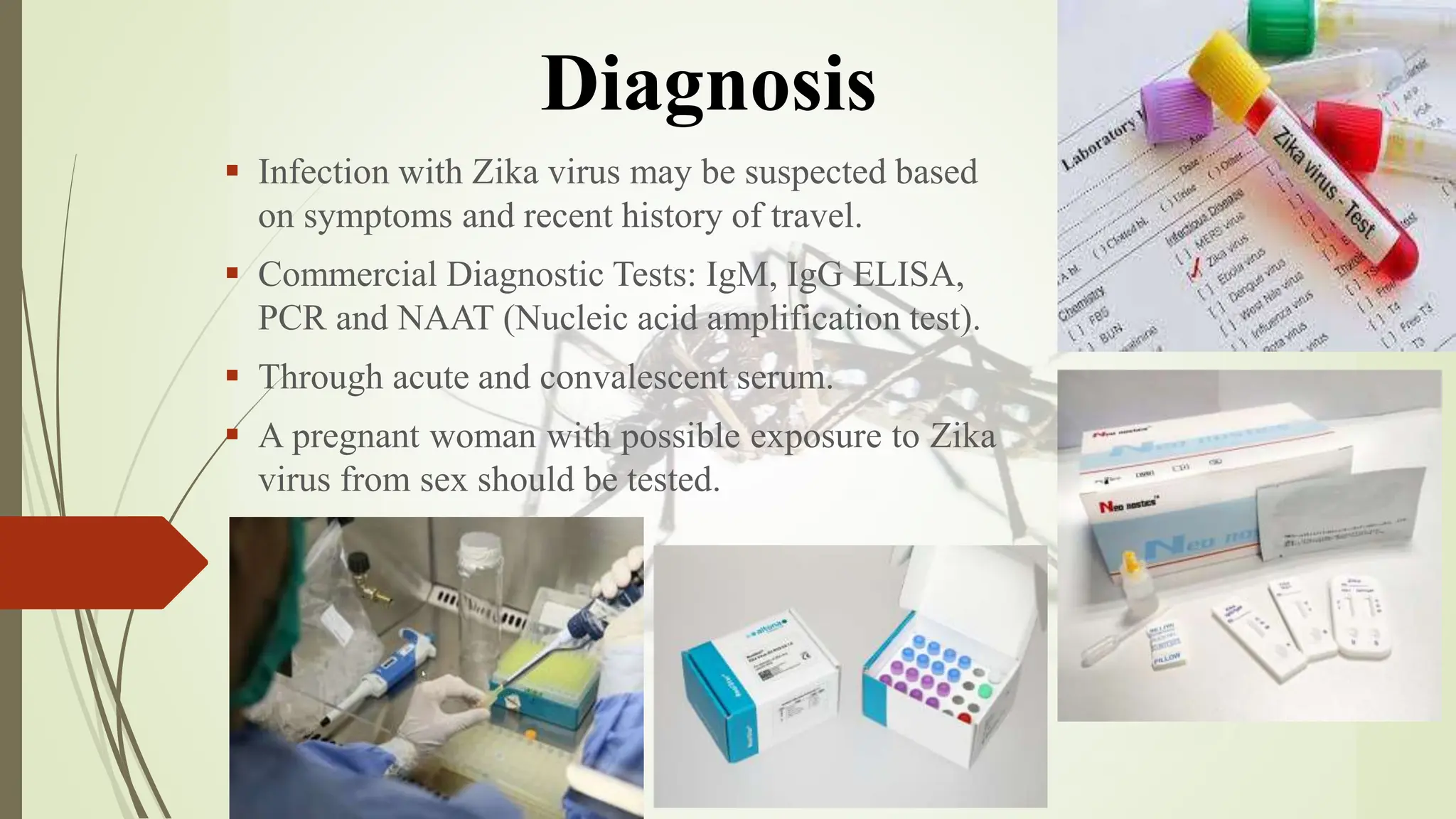 zika virus.pptx