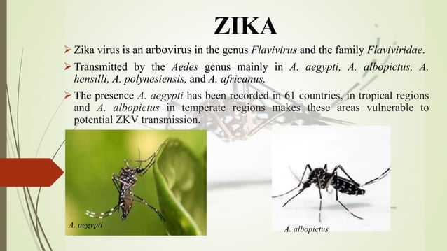 zika virus.pptx | Free Download