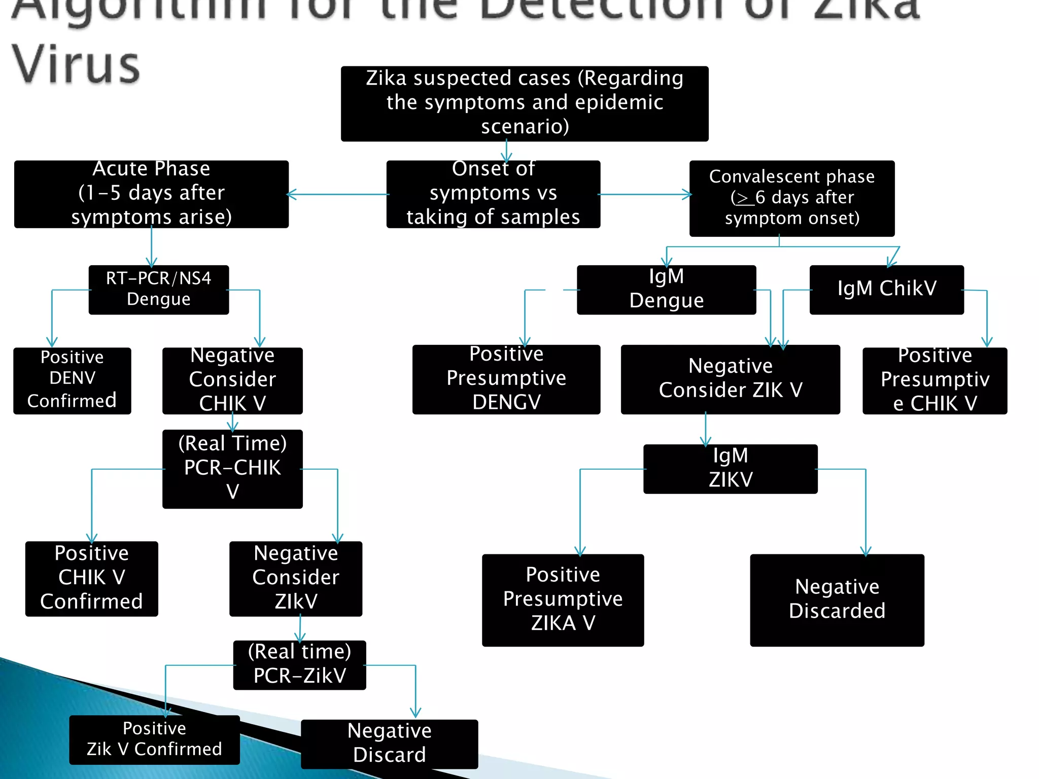 Zika Virus Infection | PPTX
