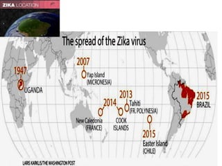 Zika virus infection | PPT