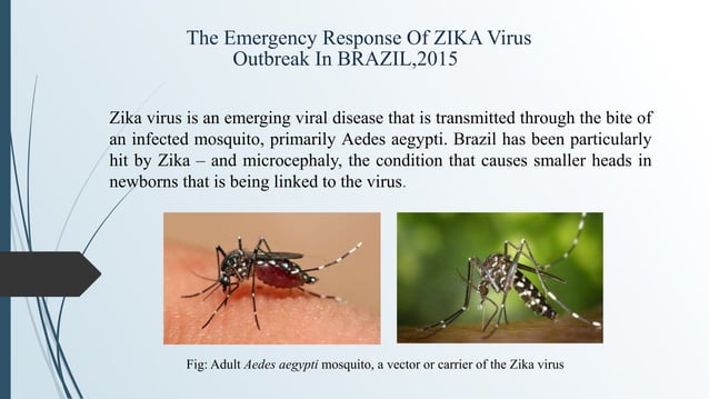 Zika virus presentation | PPT
