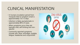 ZIKA VIRUS manifestation, treatment , symptoms, and diagnosis | PPTX