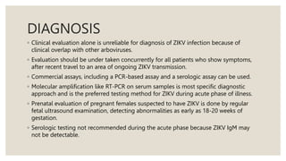ZIKA VIRUS manifestation, treatment , symptoms, and diagnosis | PPT