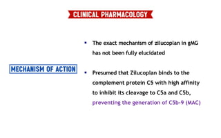 Zilucoplan-complement inhibitor for Generalized Myasthenia Gravis (gMG ...