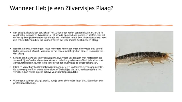 Zilvervisjes laten bestrijden, of zelf bestrijden | PPT