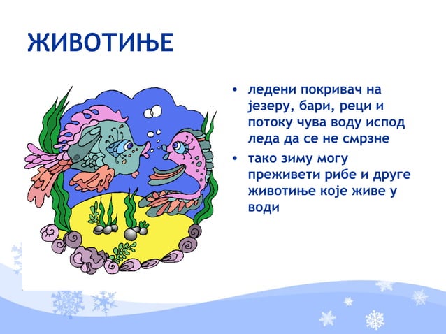 Zima 1.razred | PPT