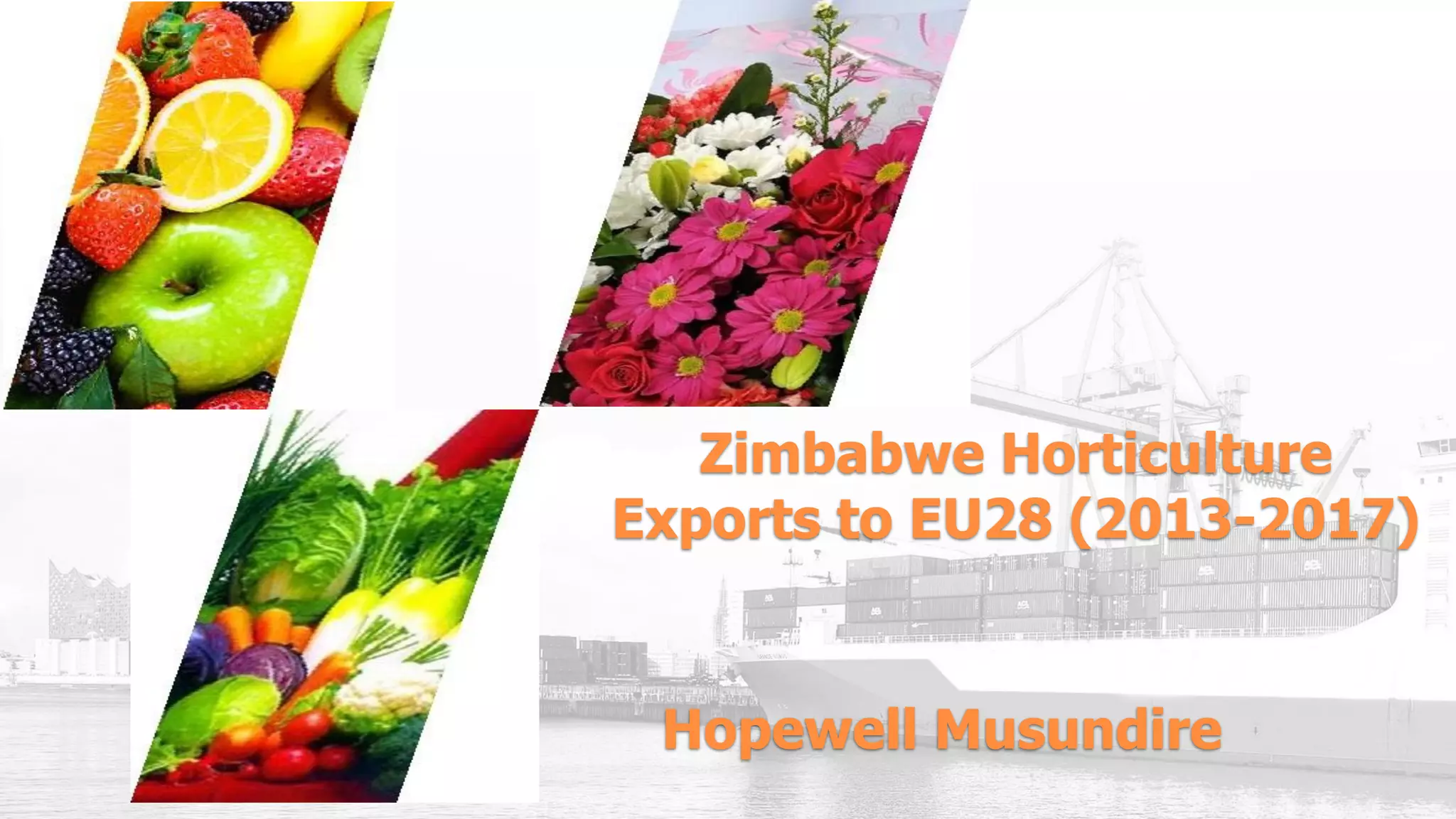 Zimbabwe Horticulture Exports (2013-2017) | PDF