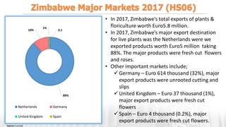 Zimbabwe Horticulture Exports (2013-2017) | PDF