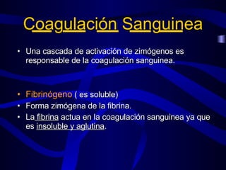 Zimogenos | PPT