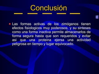 Zimogenos | PPT