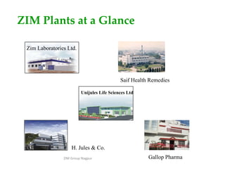 Zim Profile Without Product List | PPT