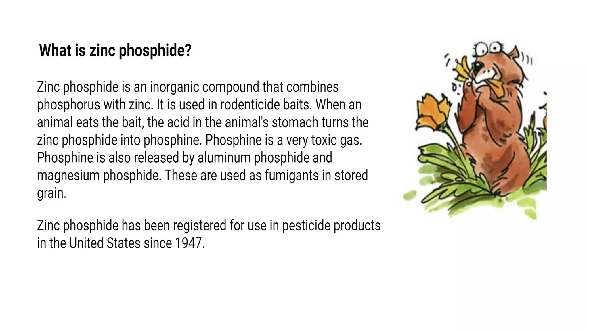 Zinc phosphide | PDF