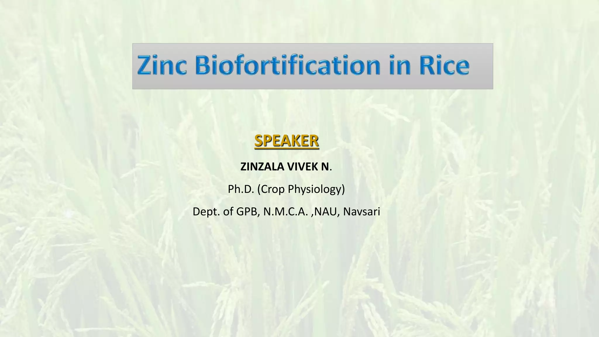 Zinc biofortification in rice | PPTX