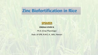 Zinc biofortification in rice | PPTX