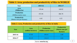 Zinc biofortification in rice | PPTX