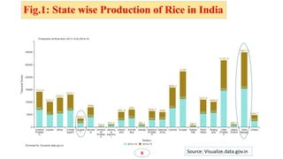 Zinc biofortification in rice | PPTX