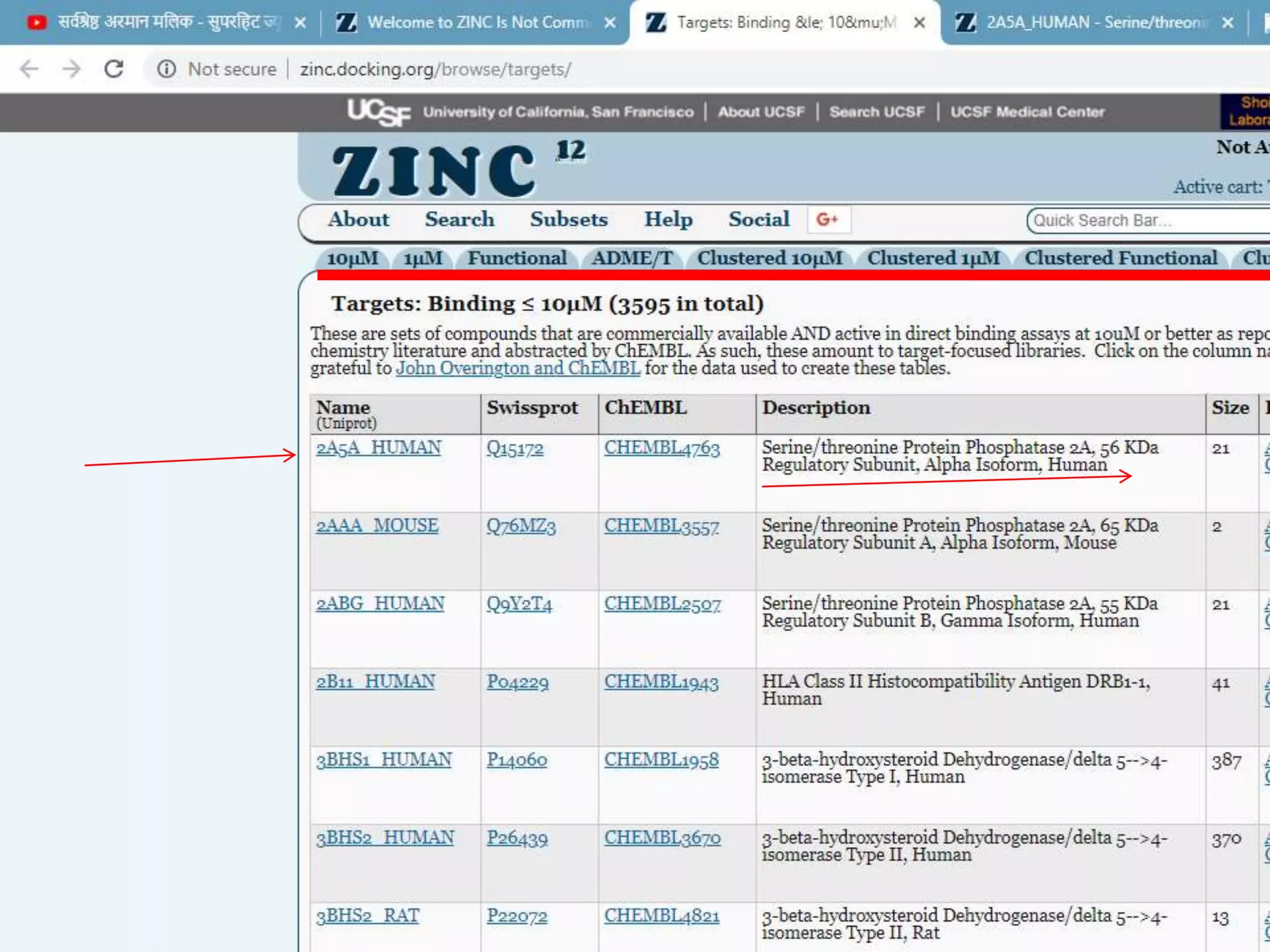 ZINC database | PPTX | Databases | Computer Software and Applications