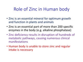 Zinc Deficiency In Humans