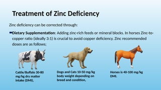 ZINC DEFICIENCY (HYPOZINCEMIA) in Animals | PPTX