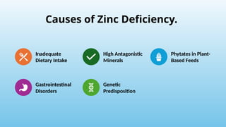 ZINC DEFICIENCY (HYPOZINCEMIA) in Animals | PPTX