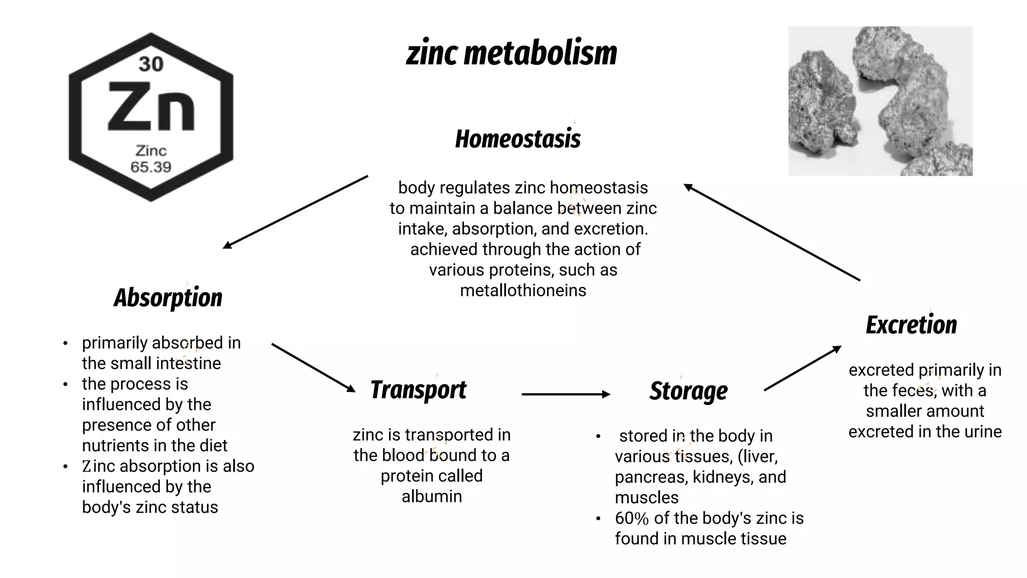 ZINC DEFISIENSI - ANASTASYA HANNIE.pptx