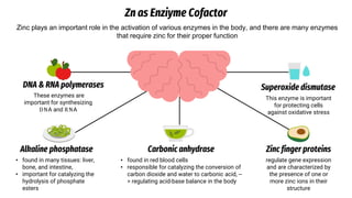 ZINC DEFISIENSI - ANASTASYA HANNIE.pptx