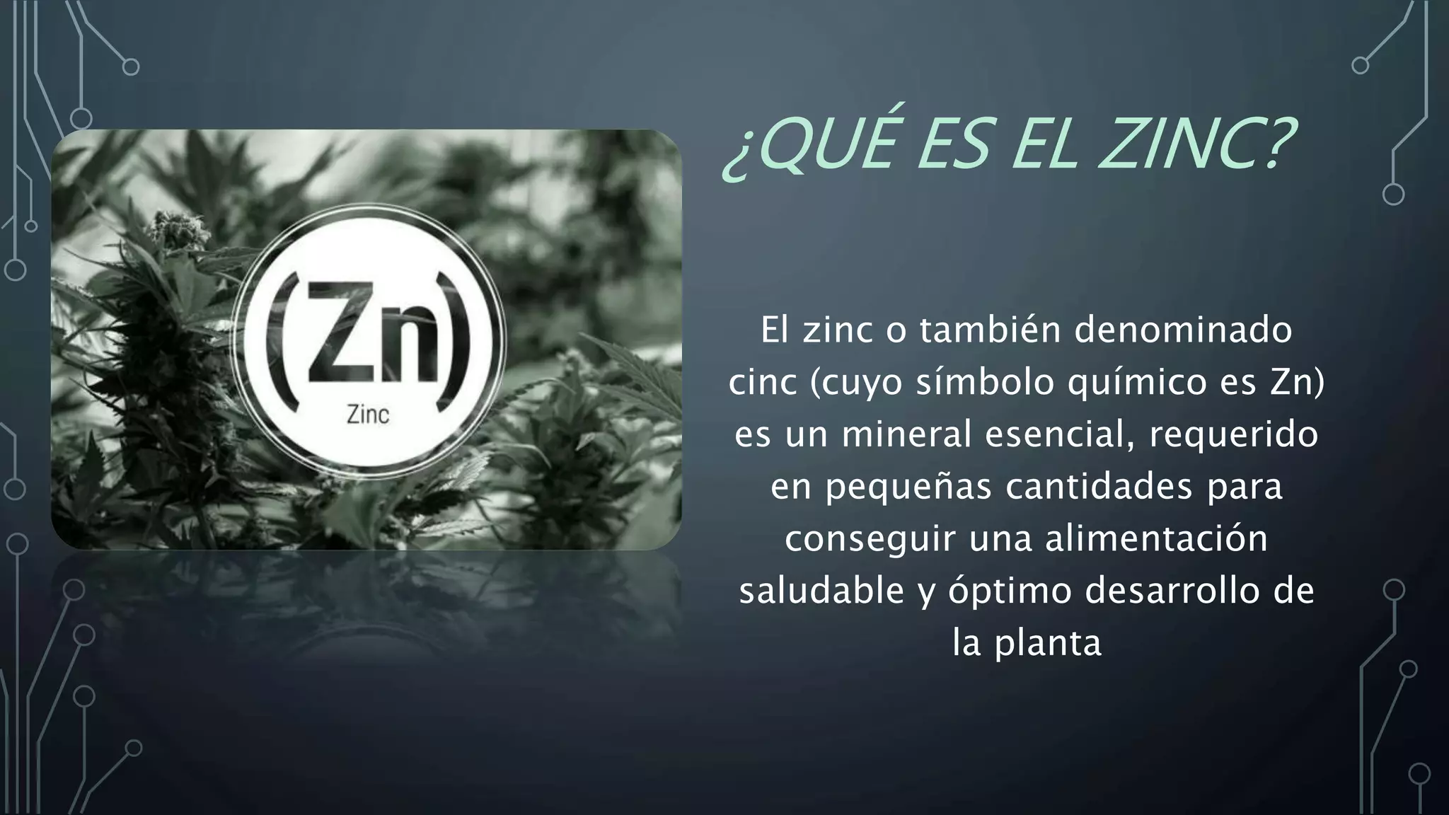 Zinc en las plantas.pptx