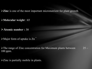 ZINC NUTRITION IN PLANTS | PPTX