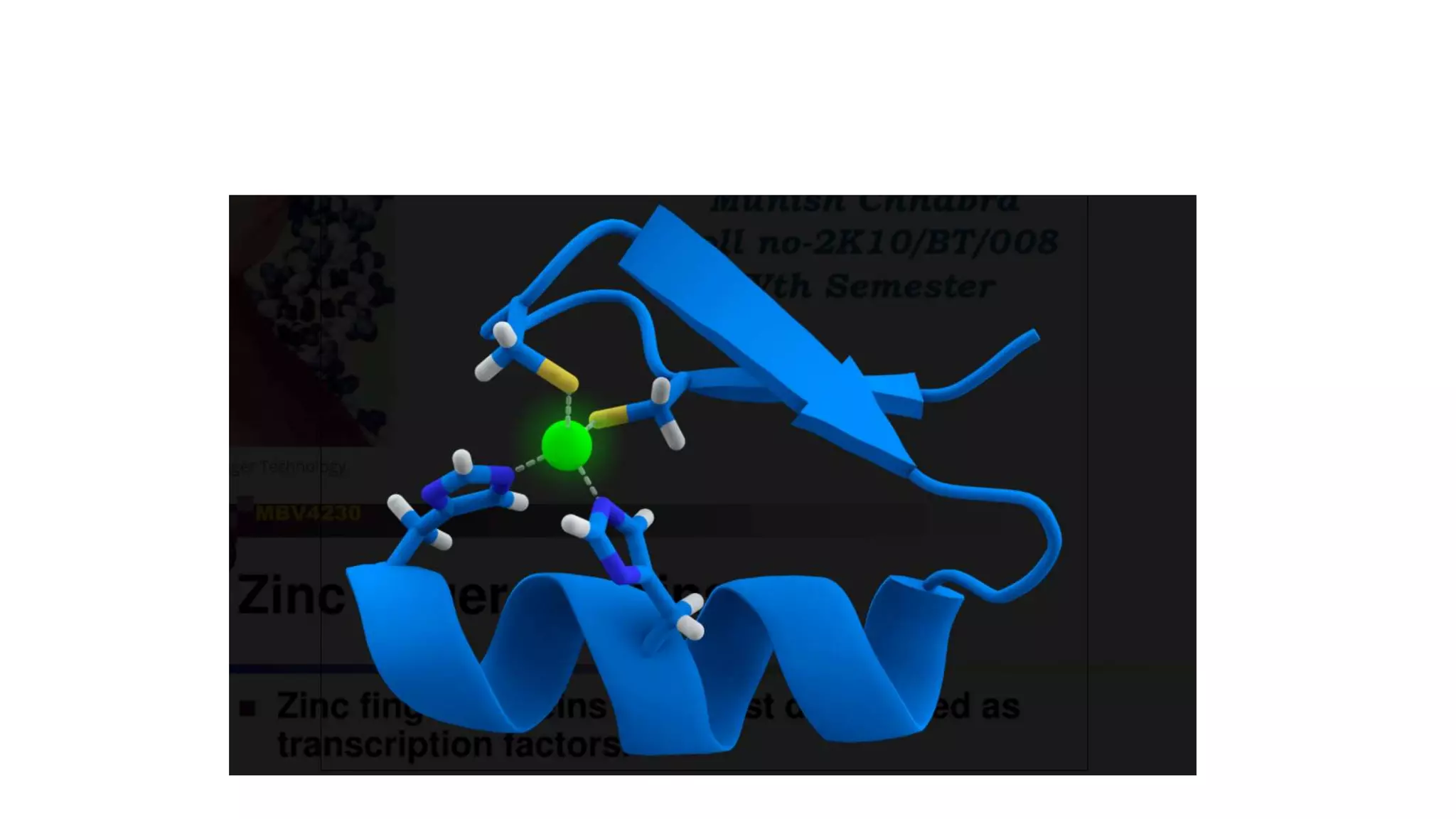 Zinc finger protein | PPTX