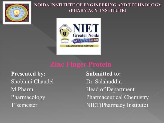 ZINC FINGER PROTEIN.pptx