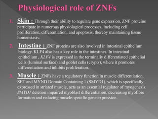 ZINC FINGER PROTEIN.pptx