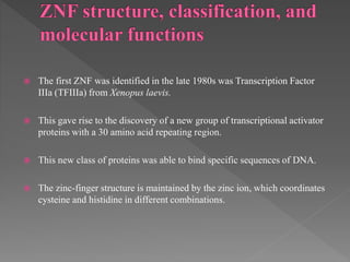 ZINC FINGER PROTEIN.pptx