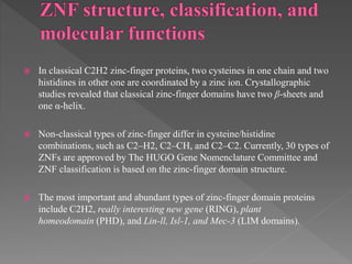 ZINC FINGER PROTEIN.pptx