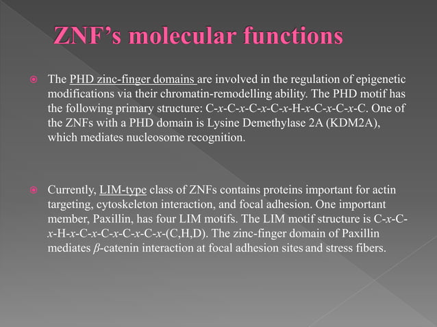 ZINC FINGER PROTEIN.pptx