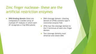 Zinc finger protein in drug discovery process | PPTX
