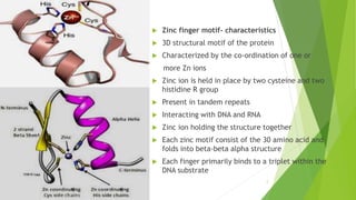 Zinc finger protein in drug discovery process | PPTX