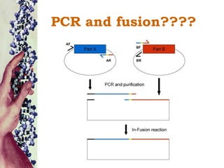 Zinc finger technology | PPT