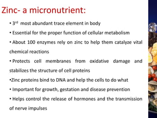 Zinc in body | PPTX
