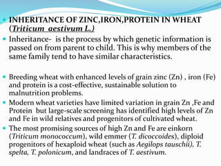 Zinc iron wheat biofortification | PPTX