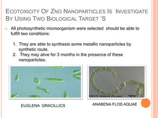 Zinc oxide nanoparticles | PPTX