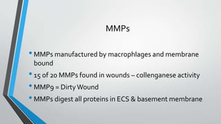 MMP's and the Role of Zinc in Wound Healing | PPT