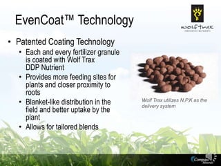 Zinc Opportunities for 2016 | PPTX