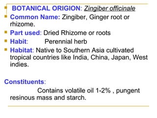 Zingiberaceae | PPT