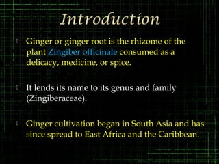 Zingiber officinale | PPT