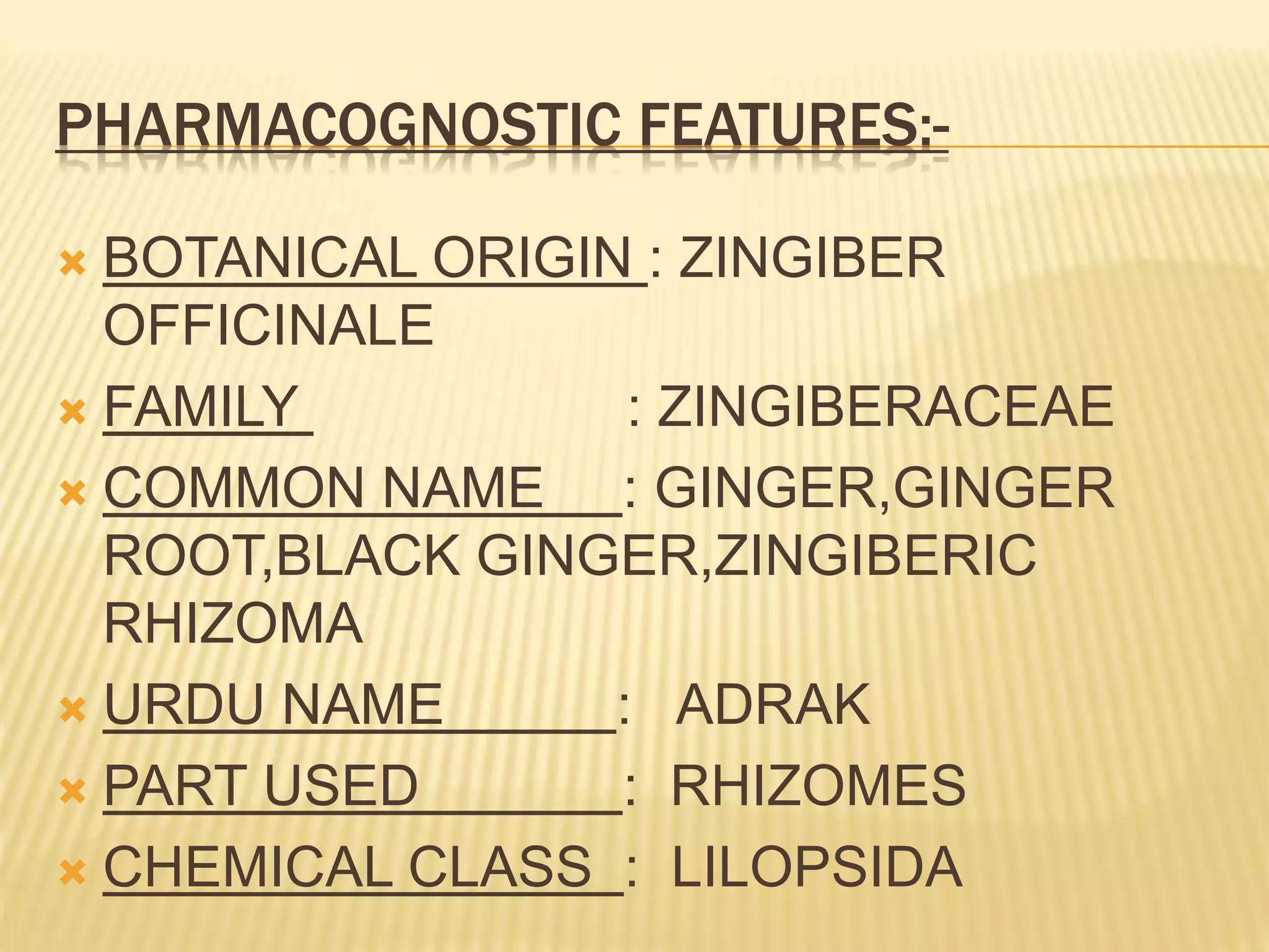 Ginger (Zingiber officinale) | PPTX