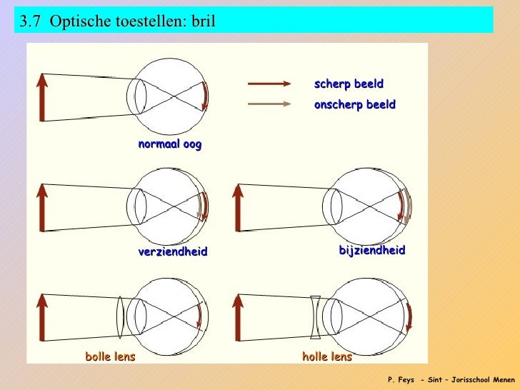 Zintuigen beeldvorming en oog