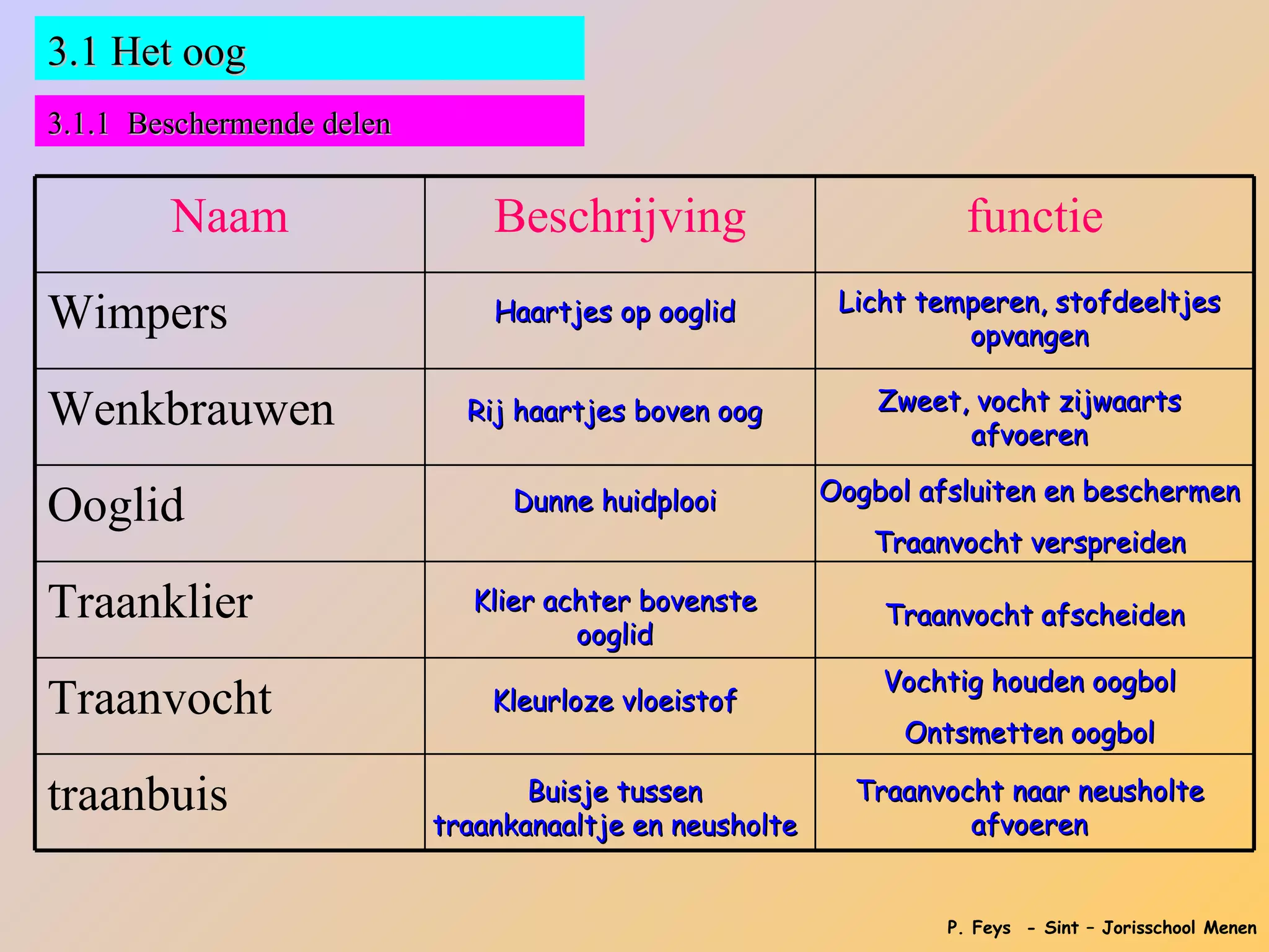 Zintuigen beeldvorming en oog af | PPT