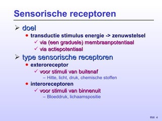 Zintuigfysiologie (1) | PPT