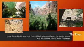 Zion presentation | PPTX