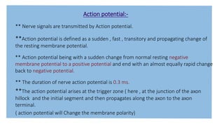 action_potentials_.pptx - phases of action potentials 1) resting phase ...